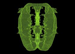 Jakob+MacFarlane - Invisible drawings